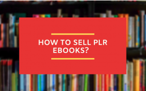 How To Sell PLR eBooks in 2023 - The Ultimate Guide