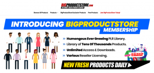 How To Use PLR Products: The Ultimate Guide